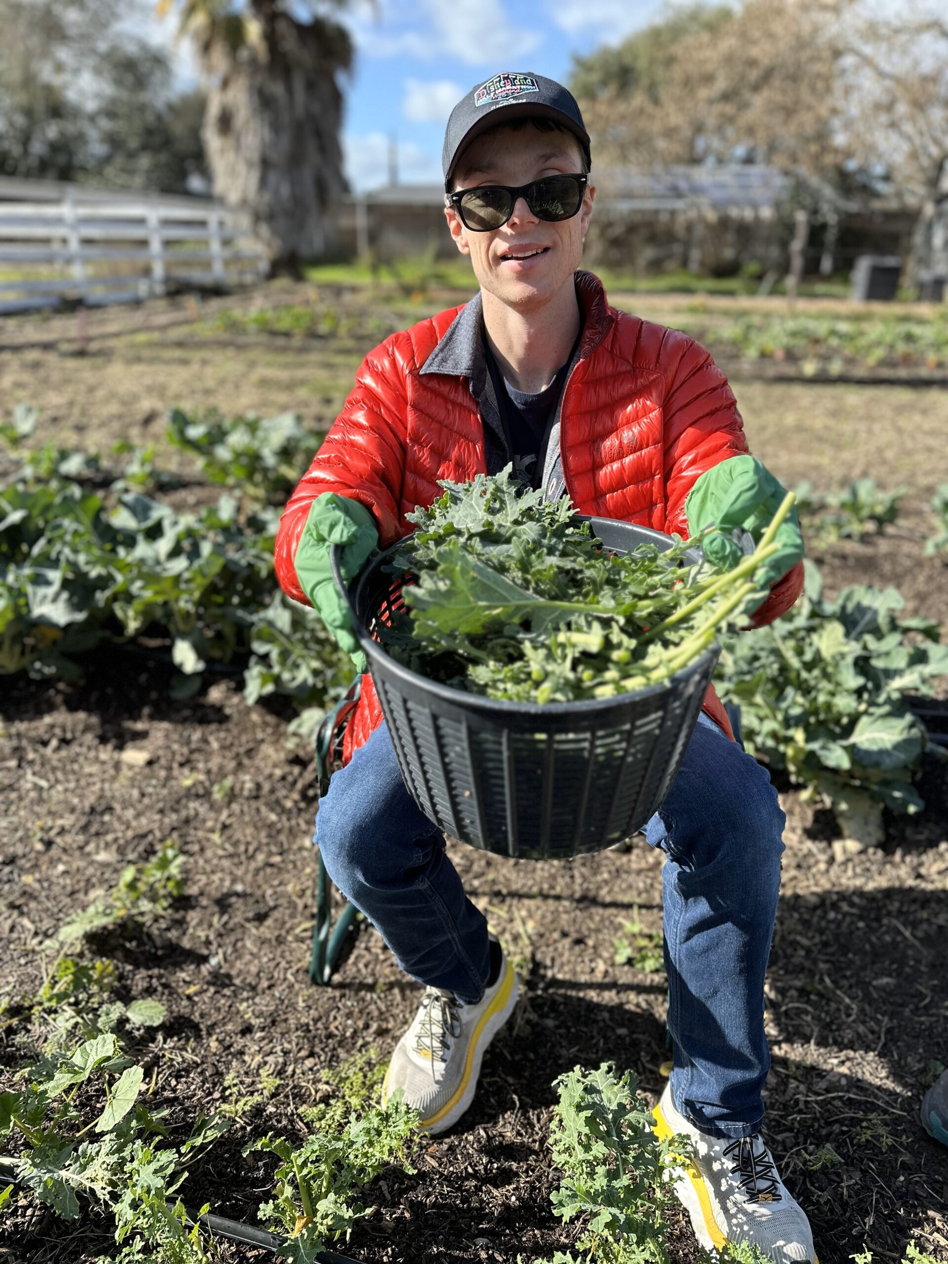 Sunflower Hill Garden | Sunflower Hill