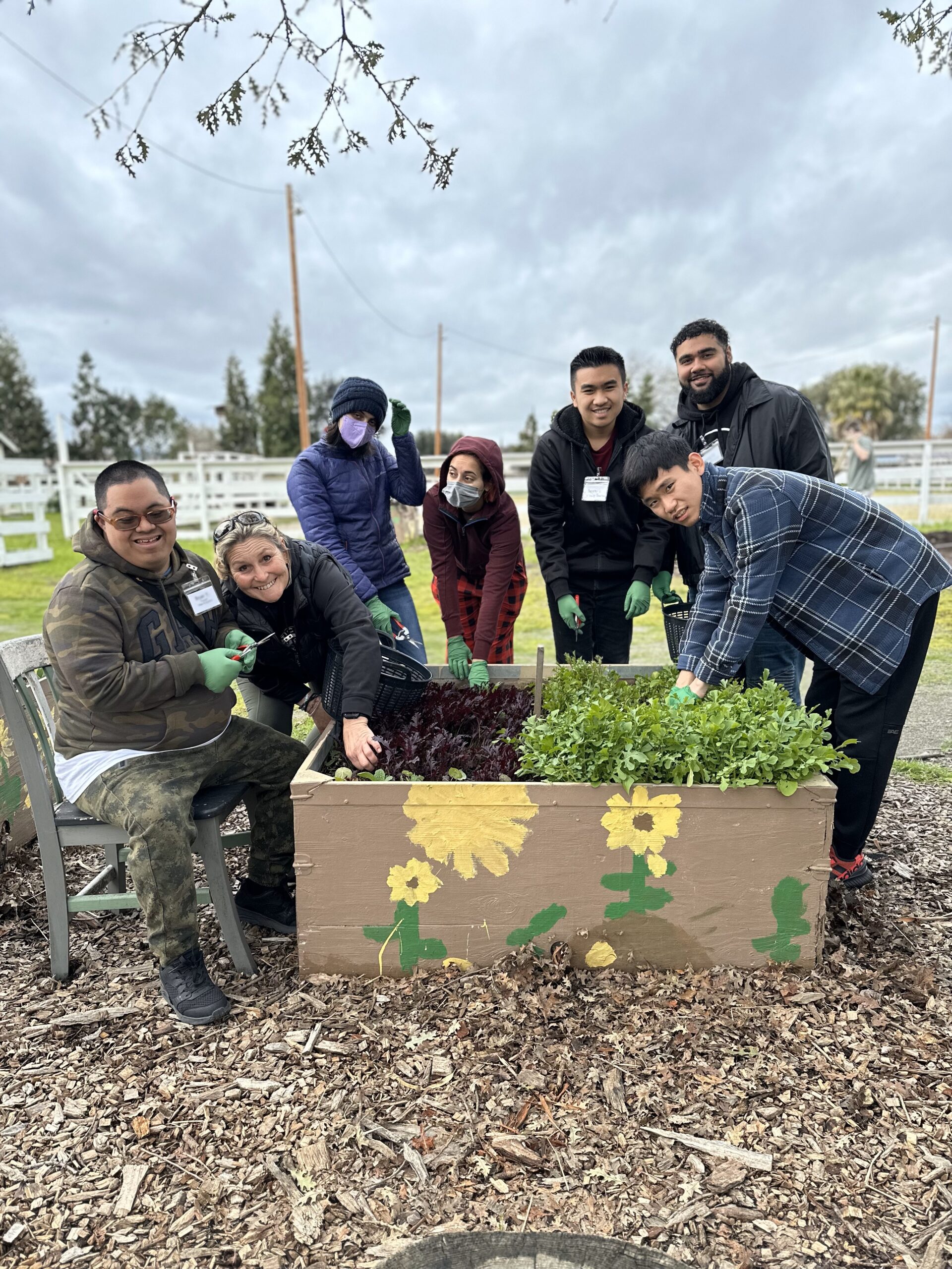 Sunflower Hill Garden | Sunflower Hill