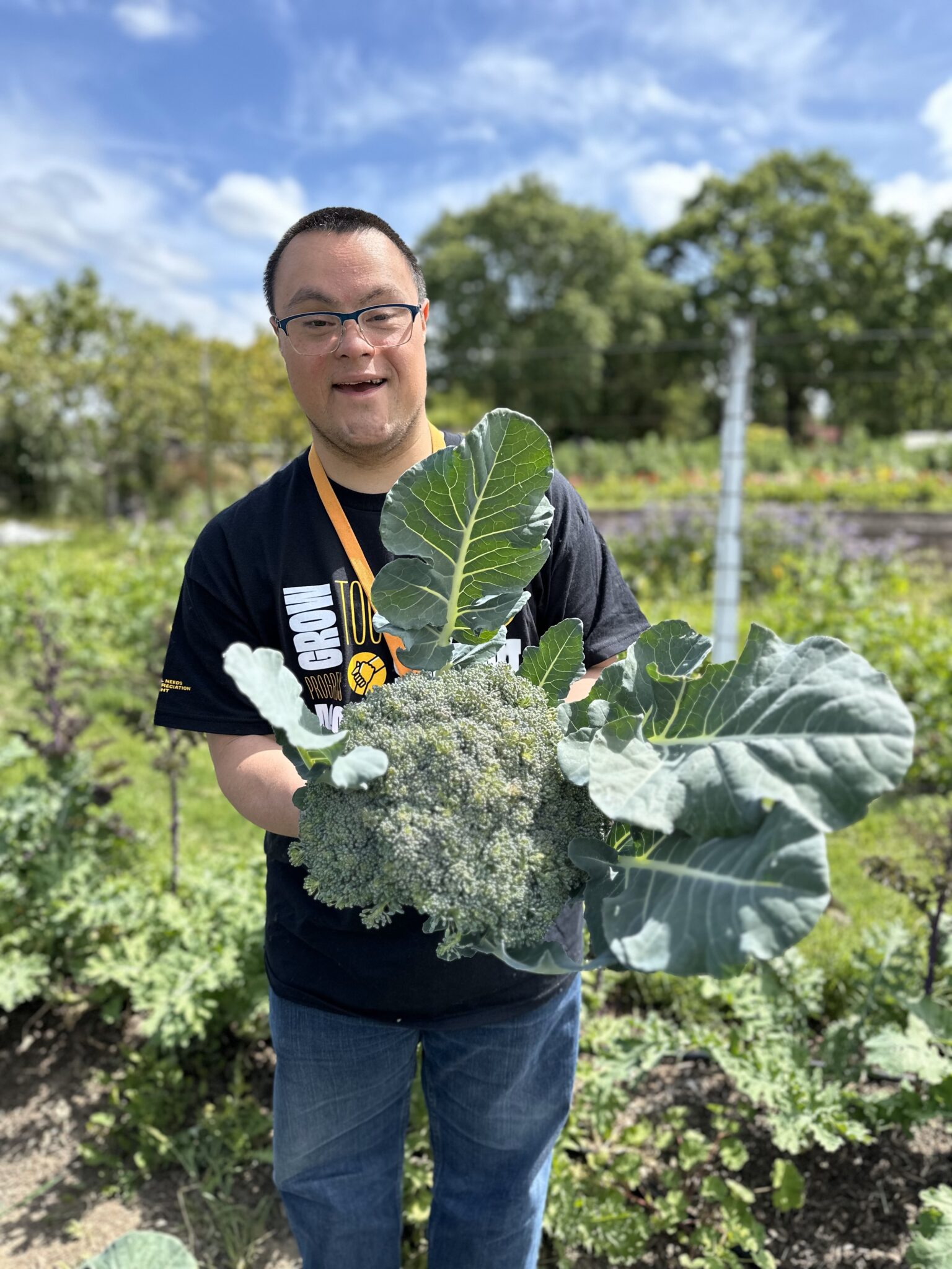 Sunflower Hill Garden | Sunflower Hill