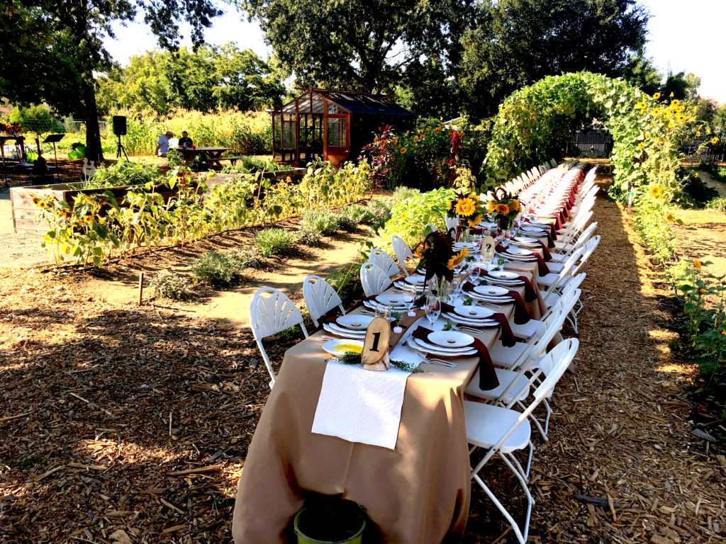 10 Years of Celebrating Sunflower Hill | Sunflower Hill